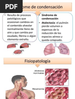 Micro, Matro y Macroambiente PDF | PDF | El embarazo | Embarazo Mamífero