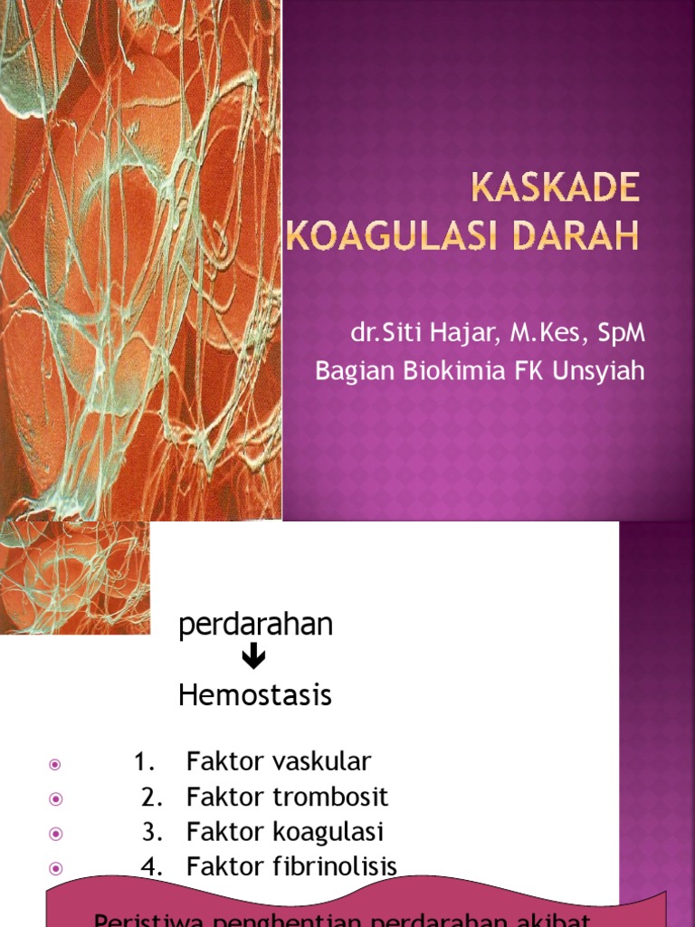 Kaskade Koagulasi dalam Hemostasis | PDF | Kesehatan Holistik