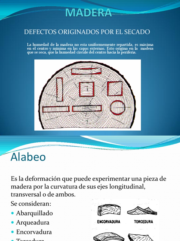 Defectos de Alabeo en Madera | PDF | Science | Tecnología (general)