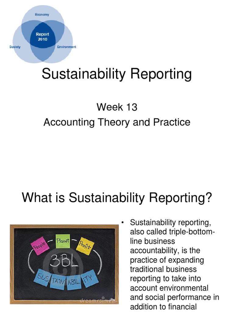 Sustainability Reporting | PDF | Corporate Social Responsibility ...