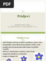 Pridjevi Vjezba | PDF