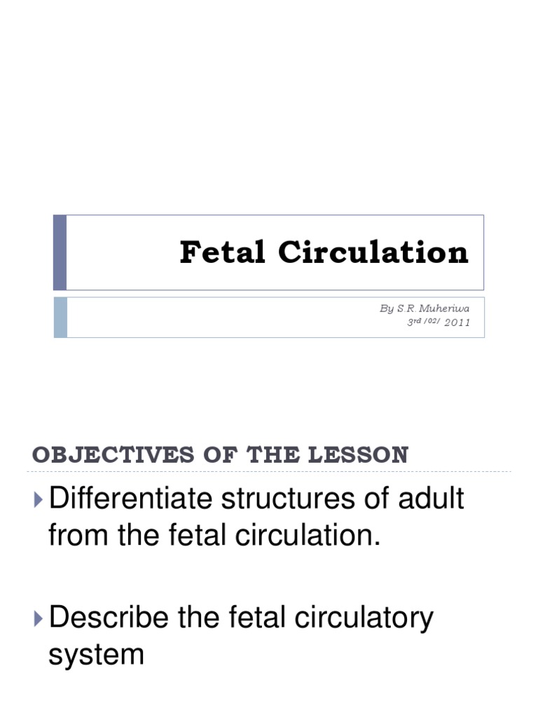 Fetal Circulation | PDF | Circulatory System | Fetus