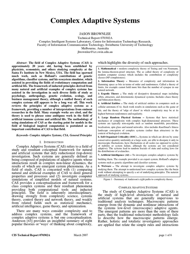 Adaptive System Work