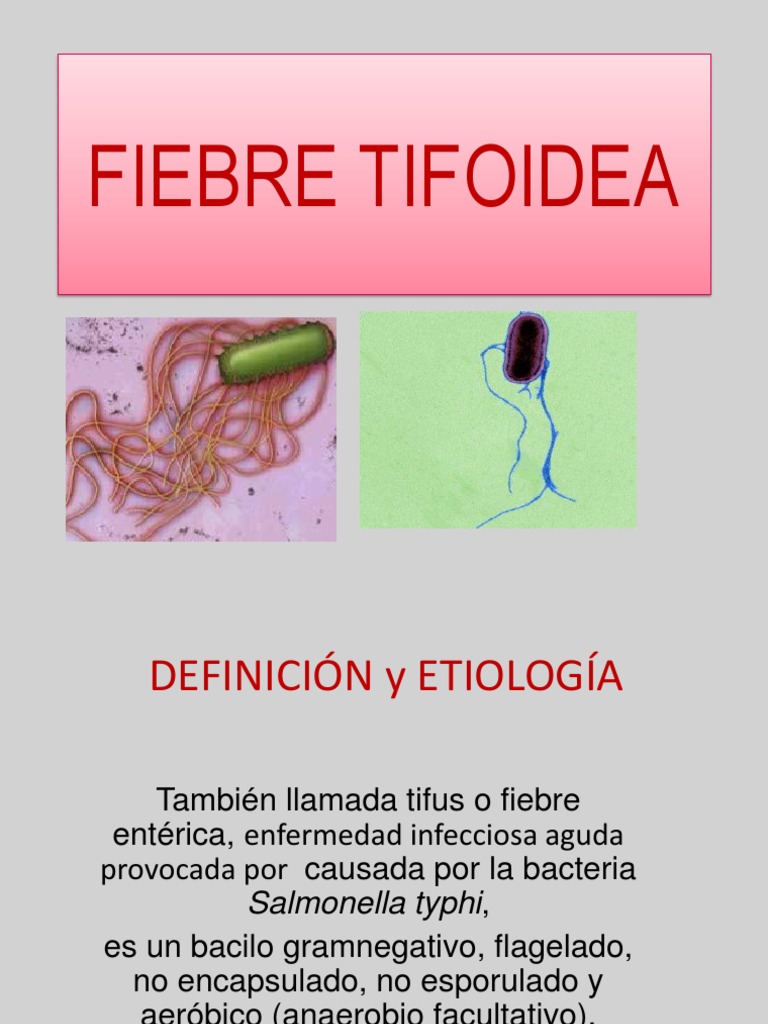Fiebre Tifoidea | Salmonela | Microbiología