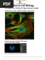 Cell Organelles Worksheet | PDF | Endoplasmic Reticulum | Cell (Biology)