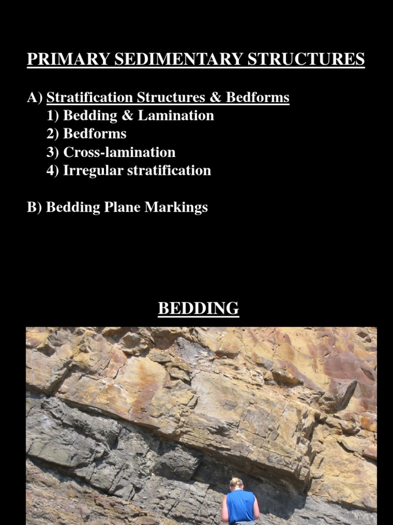 Primary Sedimentary Structures | PDF