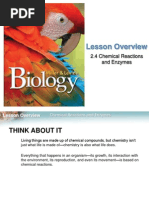 Amoeba Sisters - Video REcap | PDF | Dna | Gene