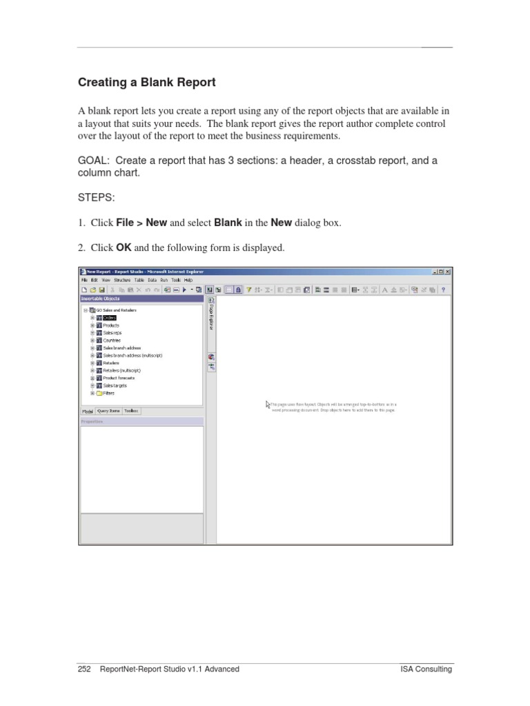 Using A Blank Report | PDF | Tab (Gui) | System Software