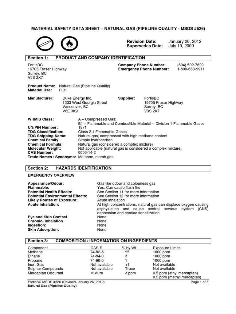 MSDS Natural Gas | PDF