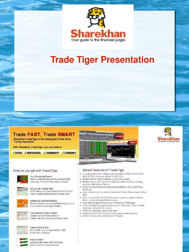 Trade Tiger Presentation | Download Free PDF | Stocks | Computing