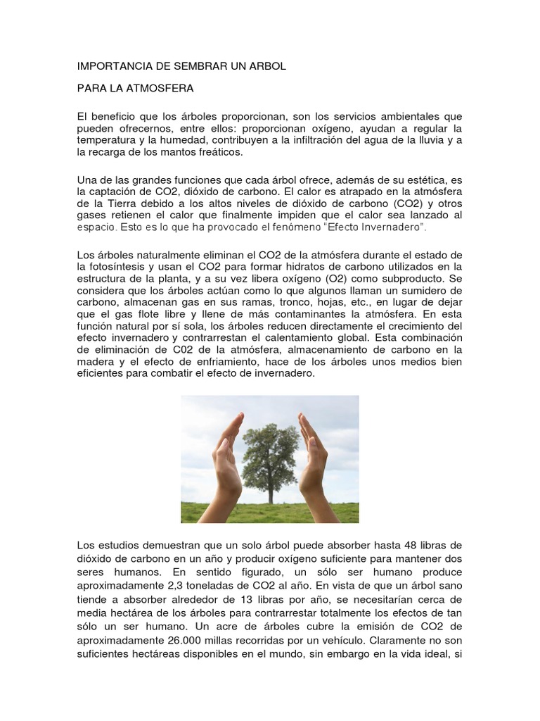 Importancia de Sembrar Un Arbol | PDF | Dióxido de carbono | Arboles