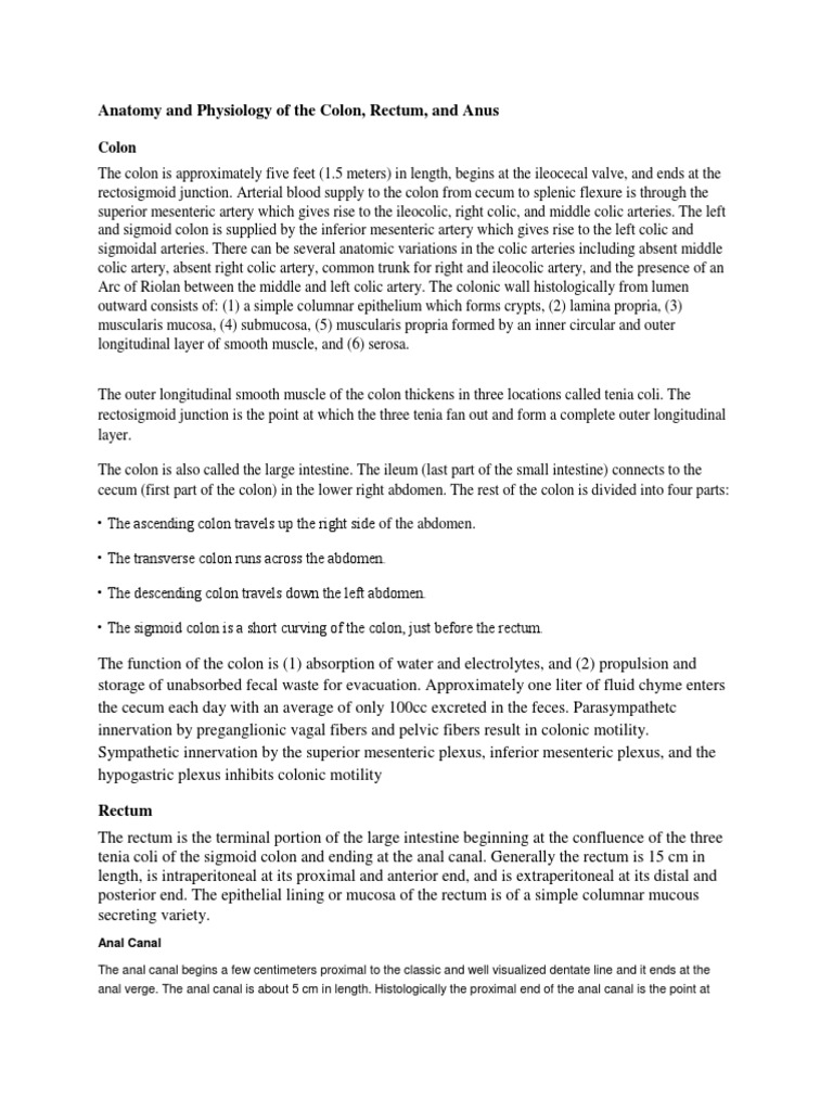 Anatomy and Physiology of the Colon | PDF | Large Intestine | Animal ...