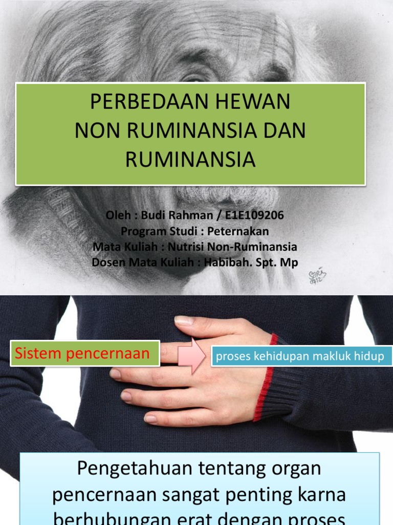 Perbedaan Non Ruminansia Dan Ruminansia | PDF | Kesehatan Holistik