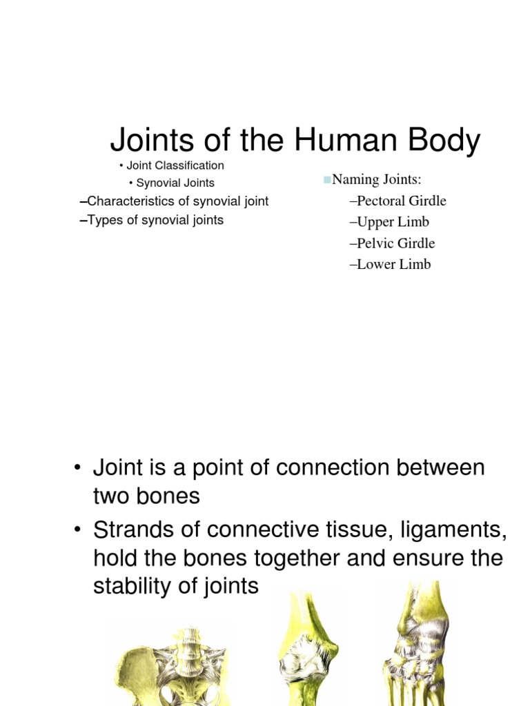 Types and Characteristics of Joints | PDF | Joint | Knee