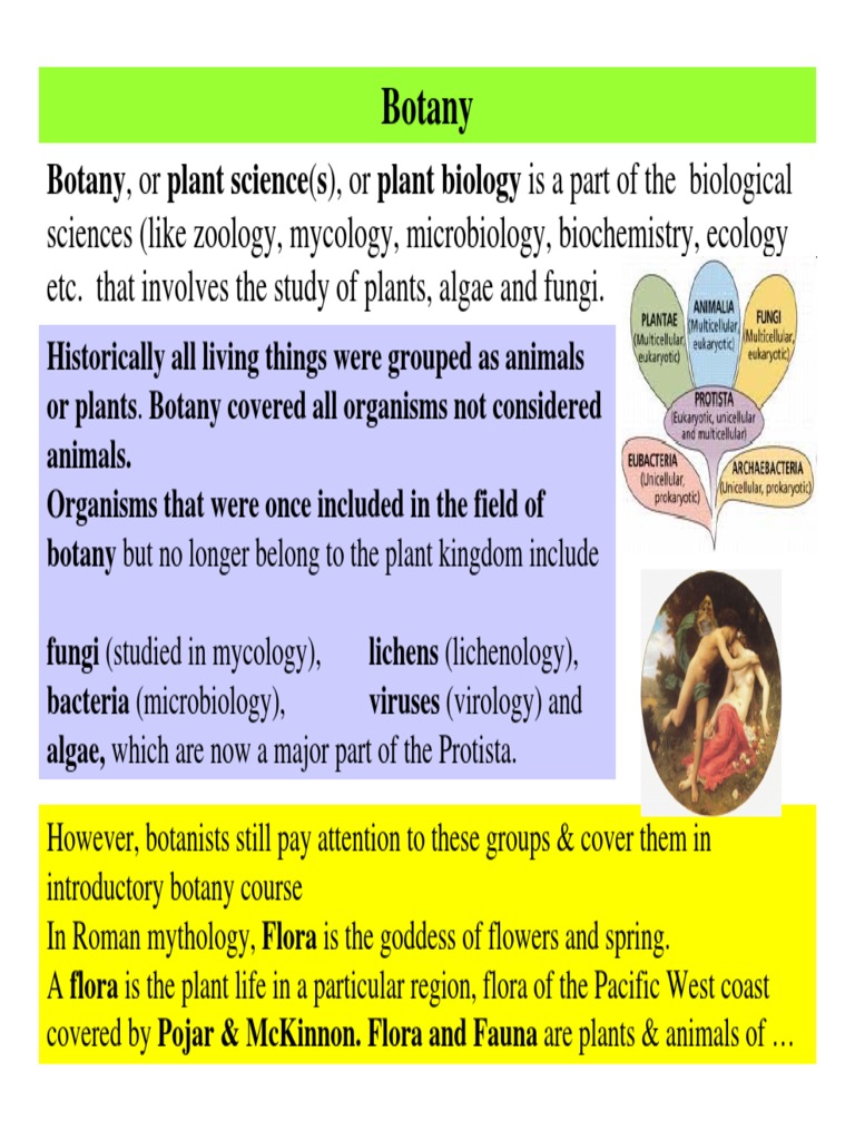 Botany Subdivisions | Perennial Plant | Botany