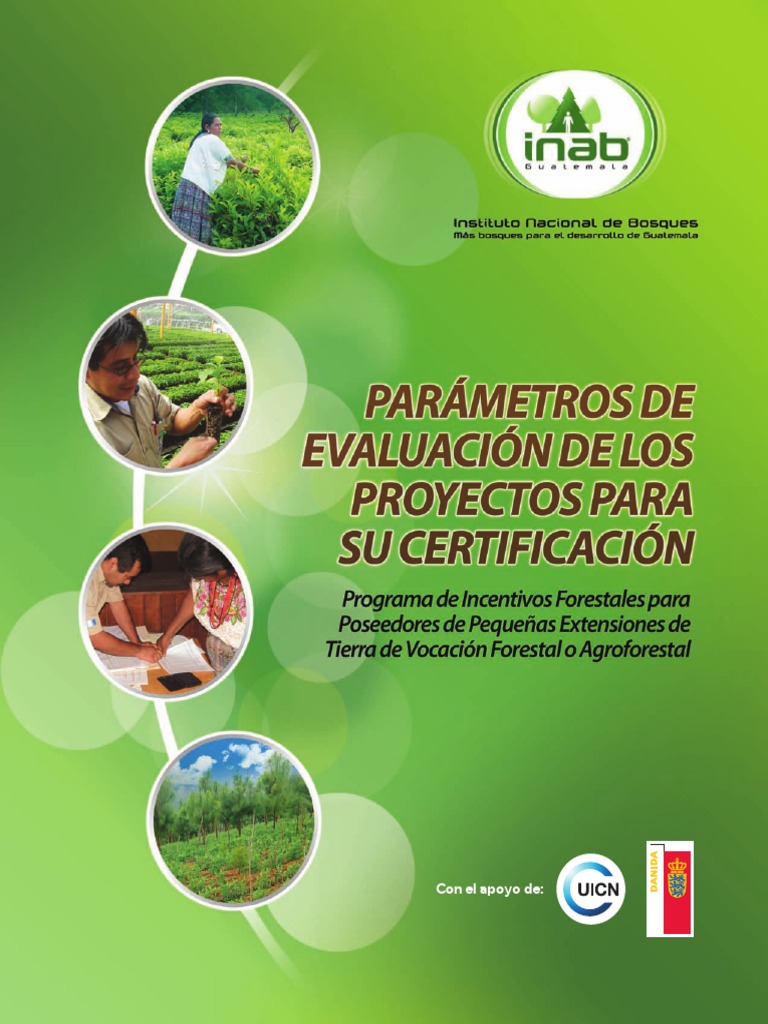 Parametros PINPEP | PDF | Plantación | Gestión de bosques