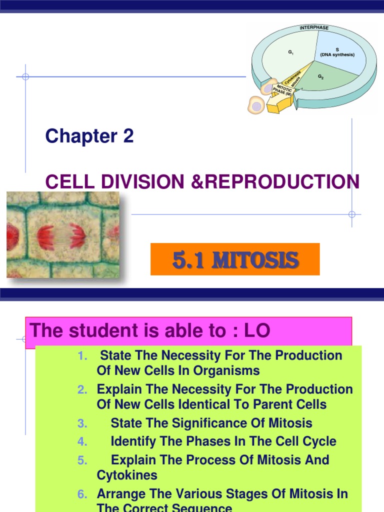 Cell Division FORM 4 | PDF | Mitosis | Chromosome