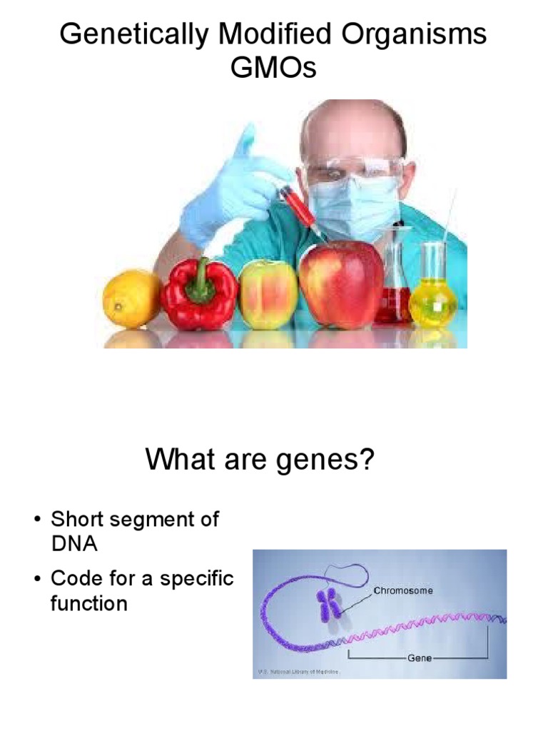 Understanding Genetically Modified Organisms | PDF