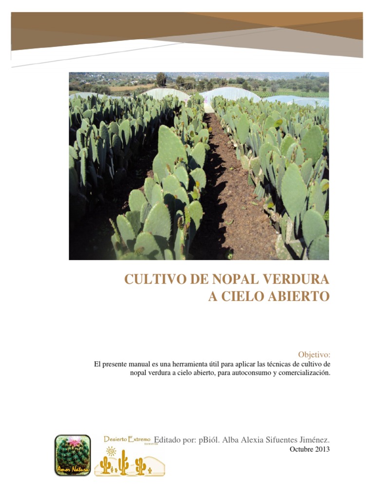 Cultivo de Nopal Verdura a Cielo Abierto | PDF | Plaga (organismo ...