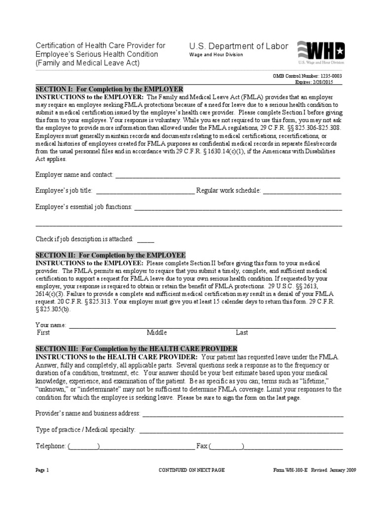 WH 380 e | PDF | Family And Medical Leave Act Of 1993 | Employment