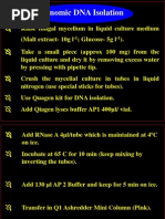 〈509〉 Residual DNA Testing | PDF | Real Time Polymerase Chain Reaction ...