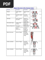 Female Muscle Diagram | PDF | Musculoskeletal System | Soft Tissue