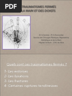 Anatomie Topographique de La Cavité Abdominale Et Péritonéale | PDF ...