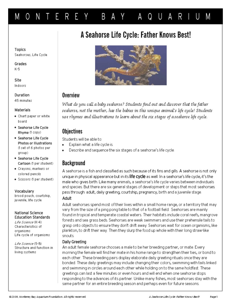 Seahorse Life Cycles | Conservation | Ecosystem