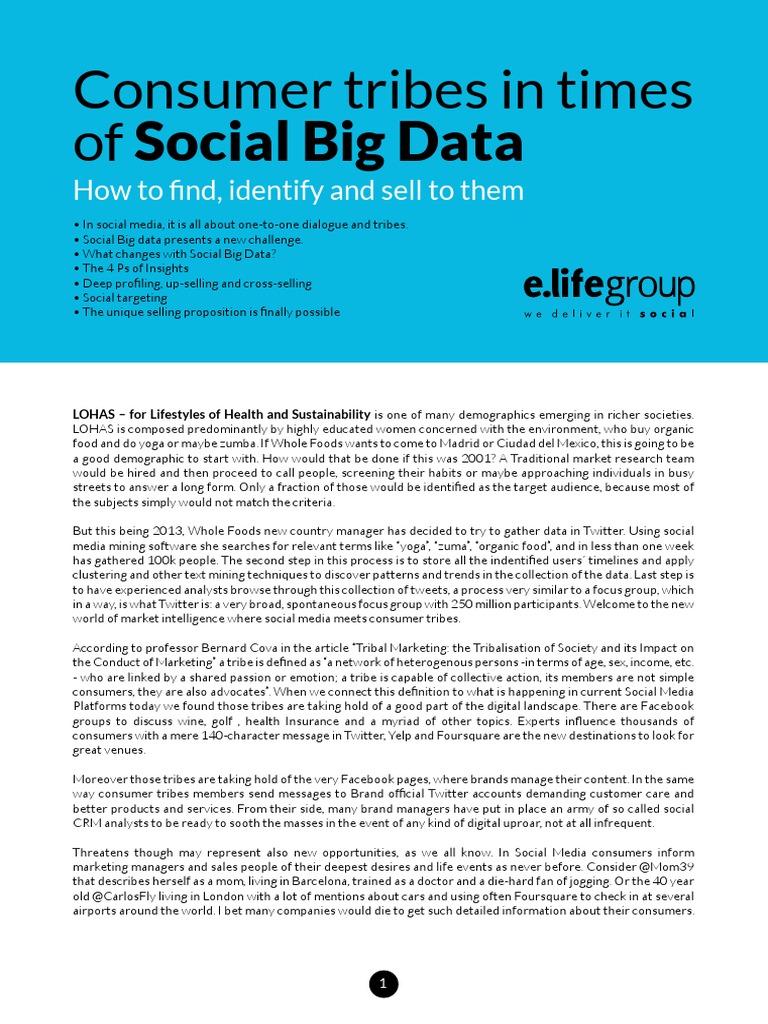 Consumer Tribes | PDF | Twitter | Big Data