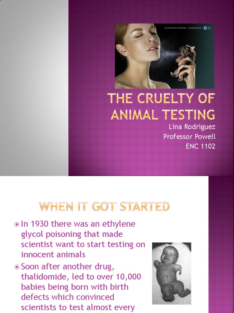 The Cruelty of Animal Testing | PDF