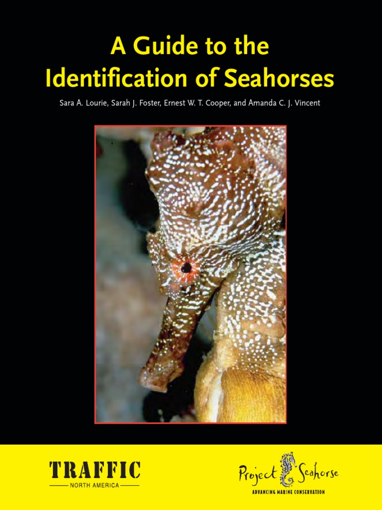 Traffic Species Fish29 | PDF | Cites | Conservation