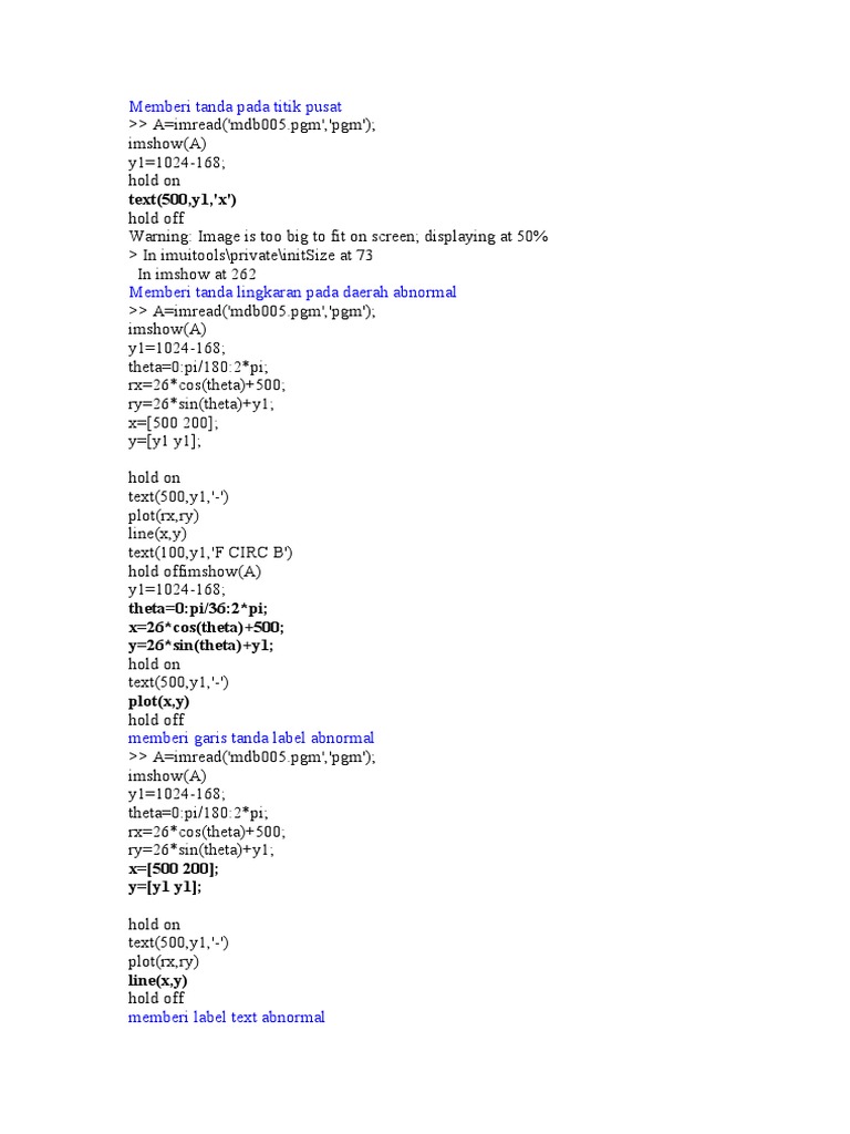 Labeling Points in MATLAB Images | PDF