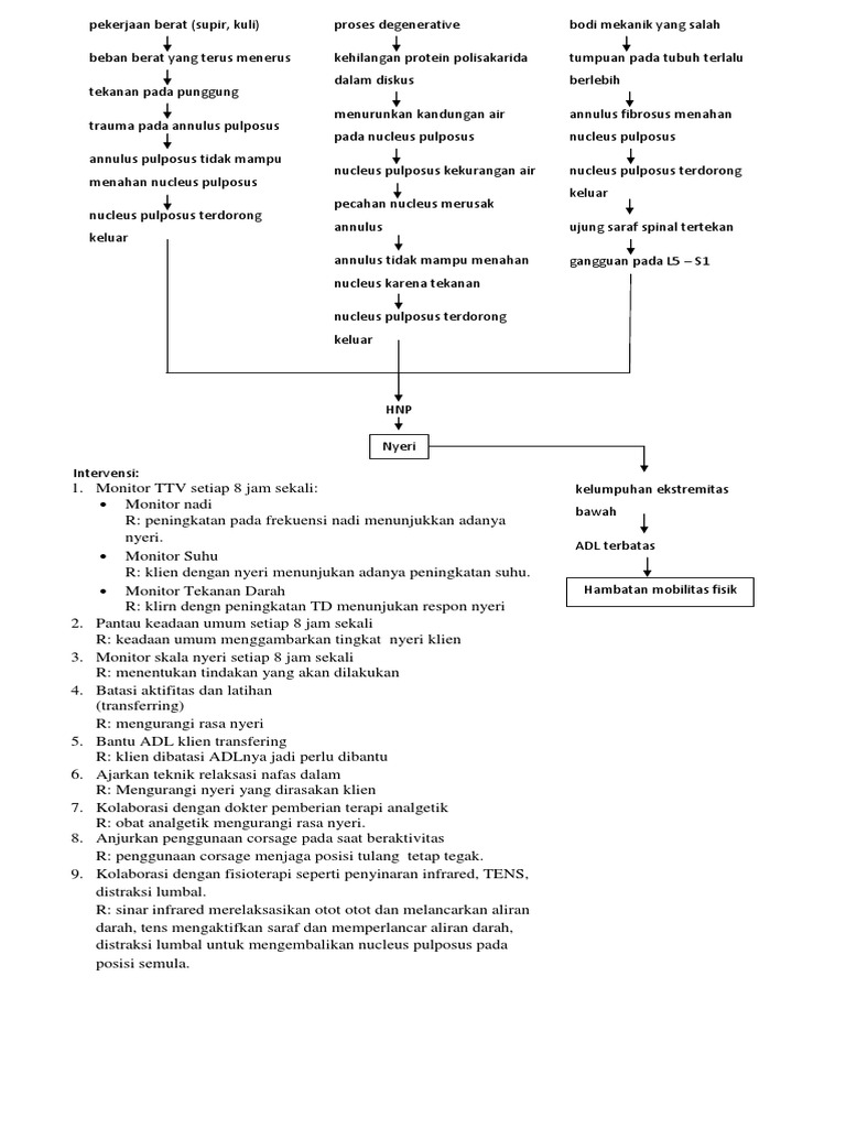 Pathway HNP Kelompok Pitu A | PDF | Sains & Matematika