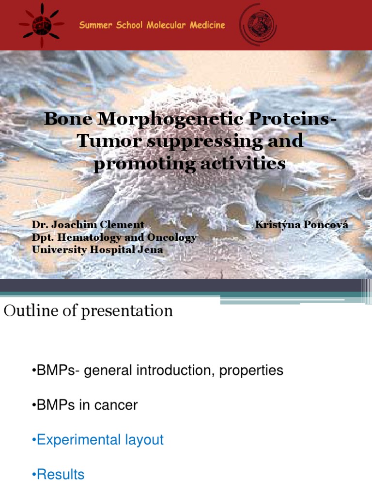 Bone Morphogenetic Proteins-Tumor Suppressing and Promoting Activities ...