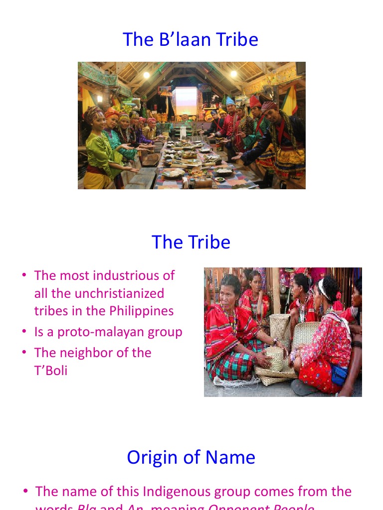 B’laan Tribe: Culture and Traditions | PDF