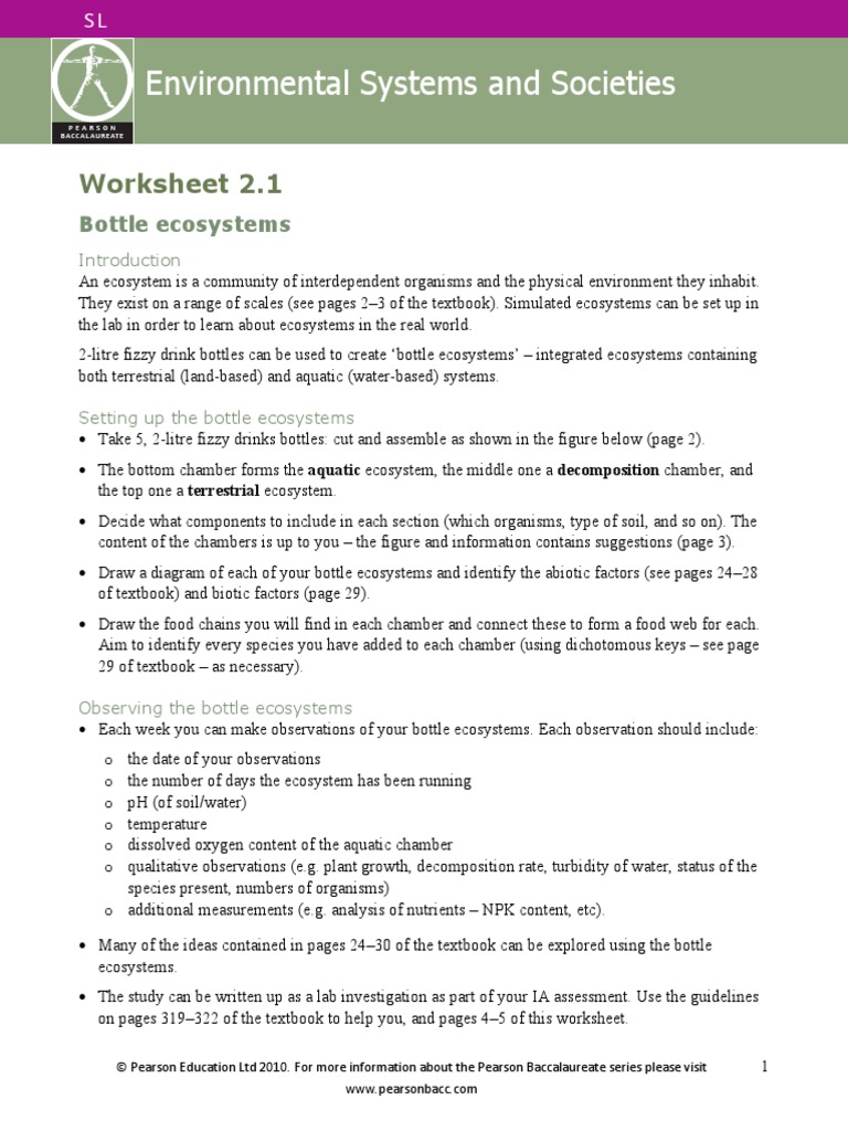 Bottle Ecosystem | PDF | Food Web | Ecosystem