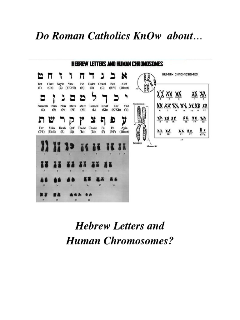 Hebrew Letters And Genetic Creation Pdf Methionine Amino Acid