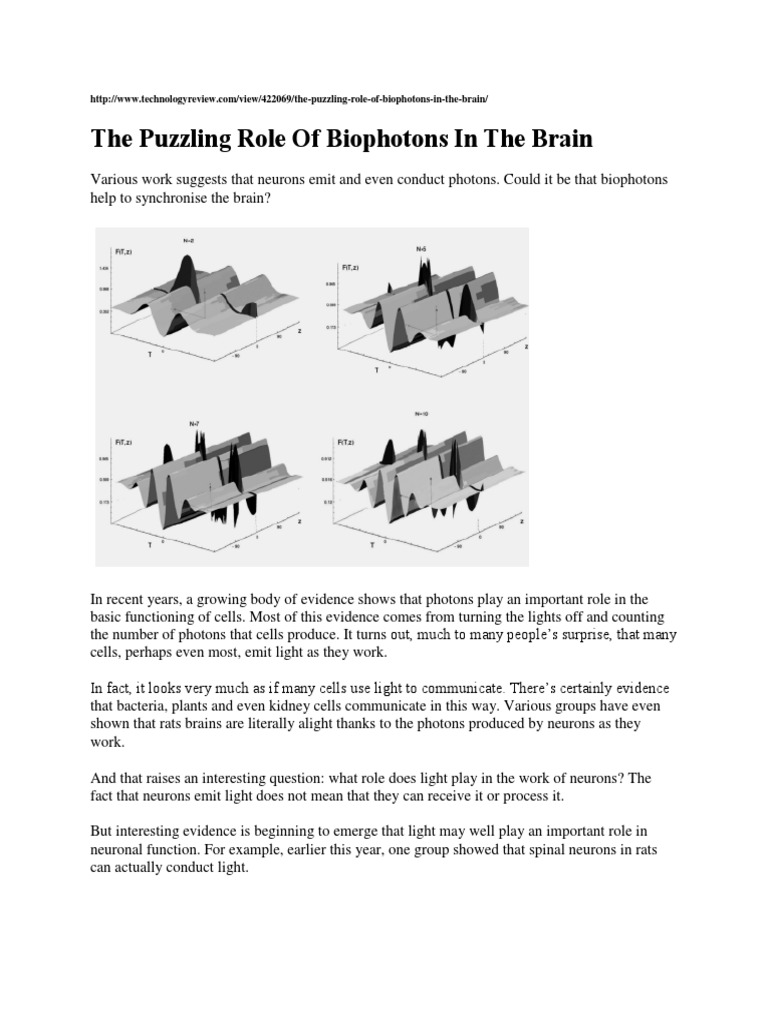 Neuroscience: Biophotons' Brain Role | PDF | Brain | Neuron