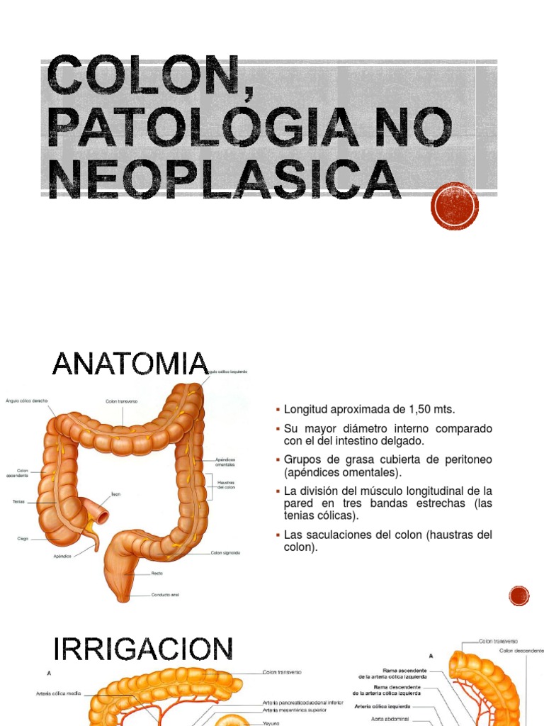 Colon, Patologia No Neoplasica | PDF | Gastroenterología | Enfermedades ...