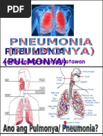 B715 Permacoat Semigloss Latex Paint PDF | PDF | Dangerous Goods | Paint