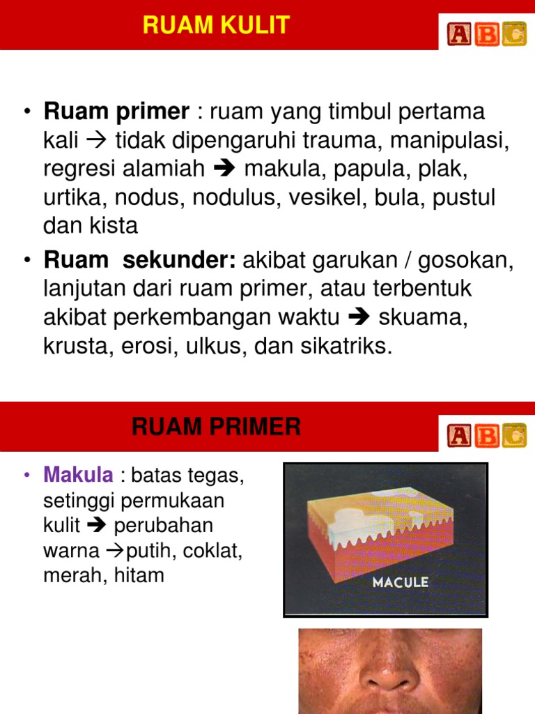 K2b - RUAM KULIT | PDF | Gaya Hidup