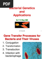 Understanding Skin Normal Flora | PDF | Staphylococcus | Streptococcus