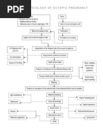 Pathophysiology: Cesarean Section | PDF | Childbirth | Caesarean Section