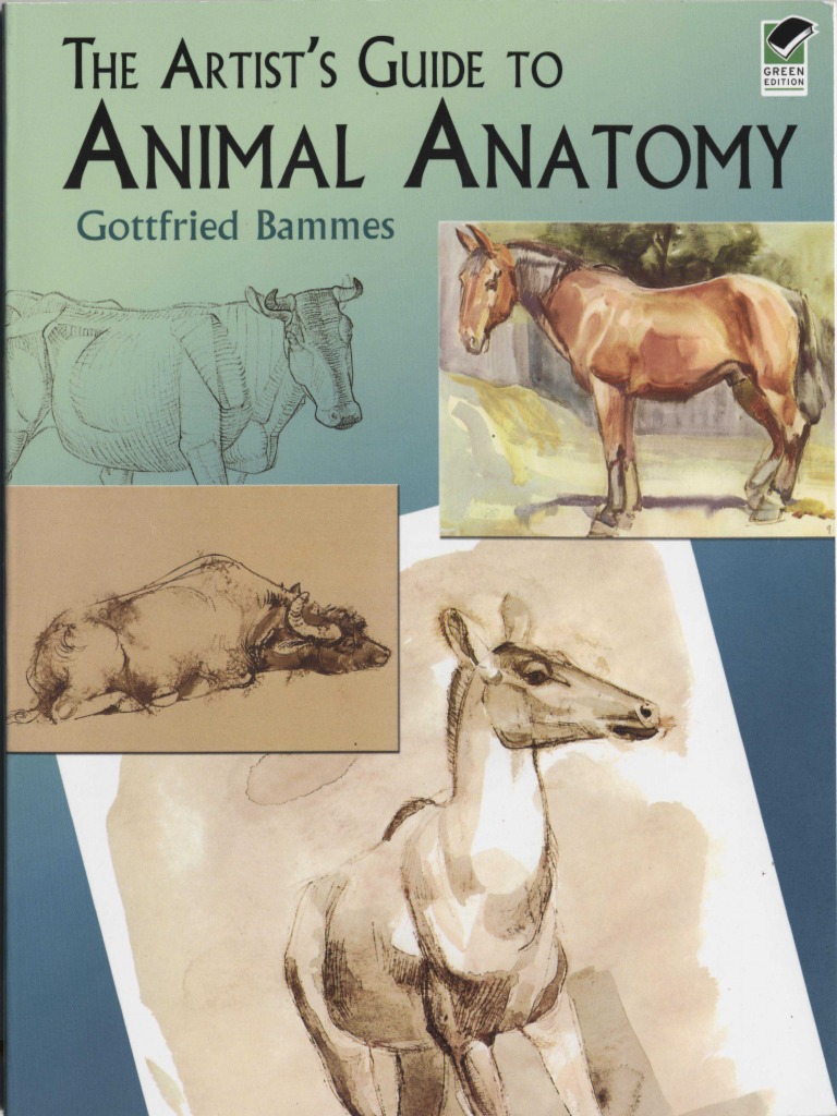 Gottfried Bammes - The Artist's Guide To Animal Anatomy - 2004 | PDF