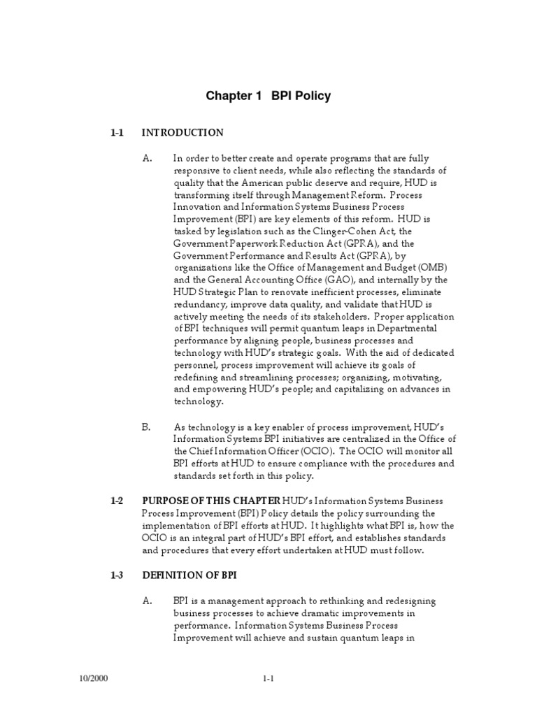 Chapter 1 BPI Policy | PDF | Business Process | Information System