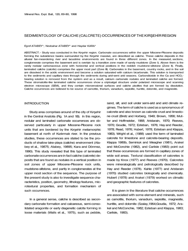 Sedimentology of Caliche | PDF | Sedimentary Rock | Carbon Dioxide