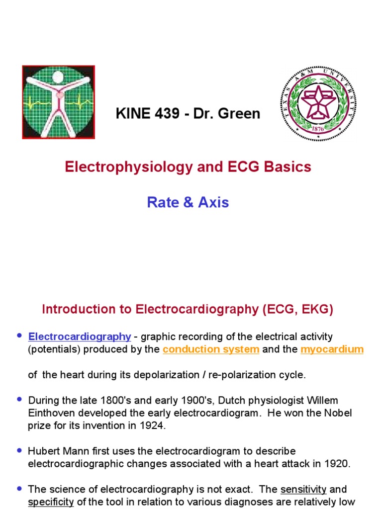 439 3 Electrophysiology & ECG Basics | PDF | Electrocardiography ...