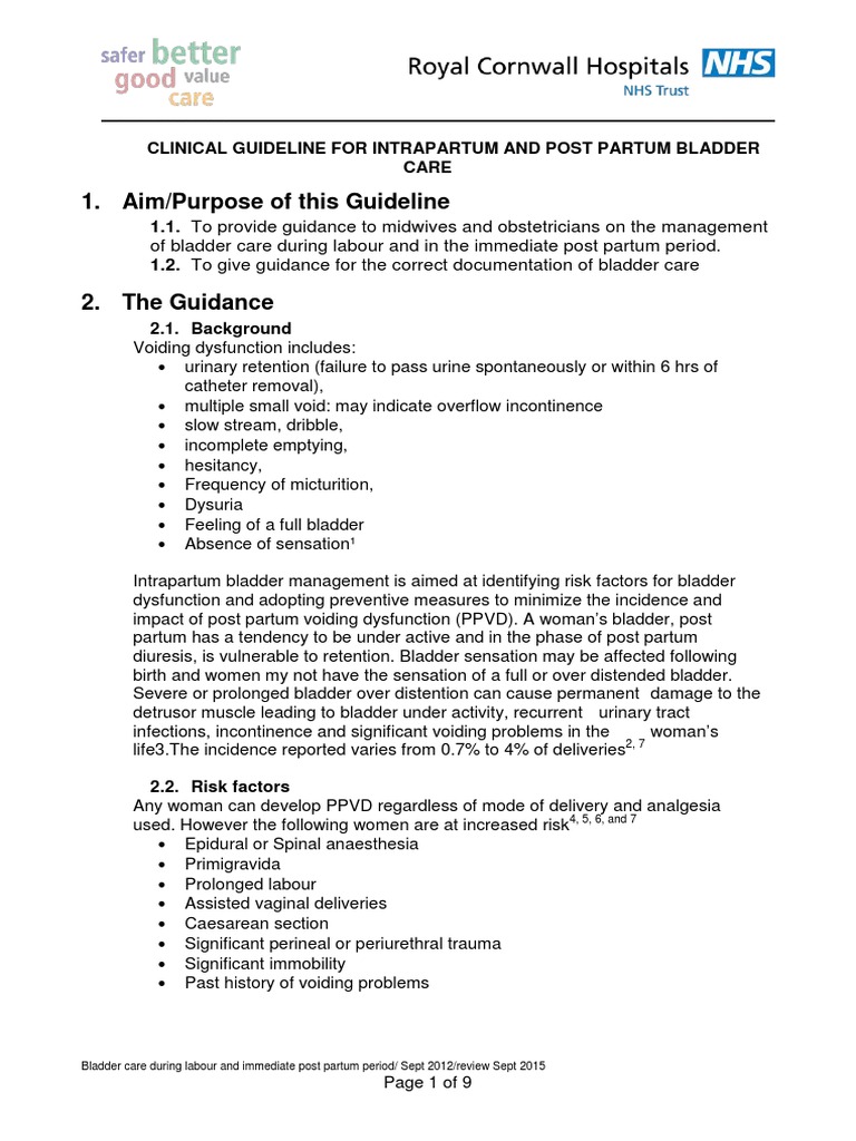 Intra Partum and Postpartum Bladder Care Guideline | PDF | Childbirth ...