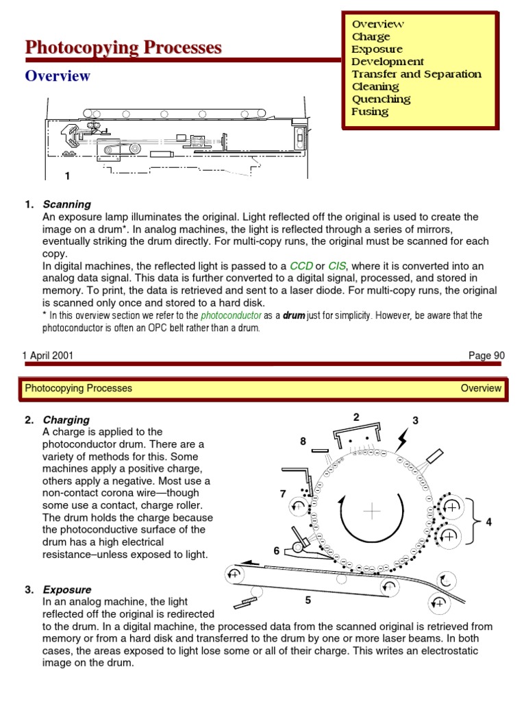 Photocopying Processes | PDF | Image Scanner | Photocopier