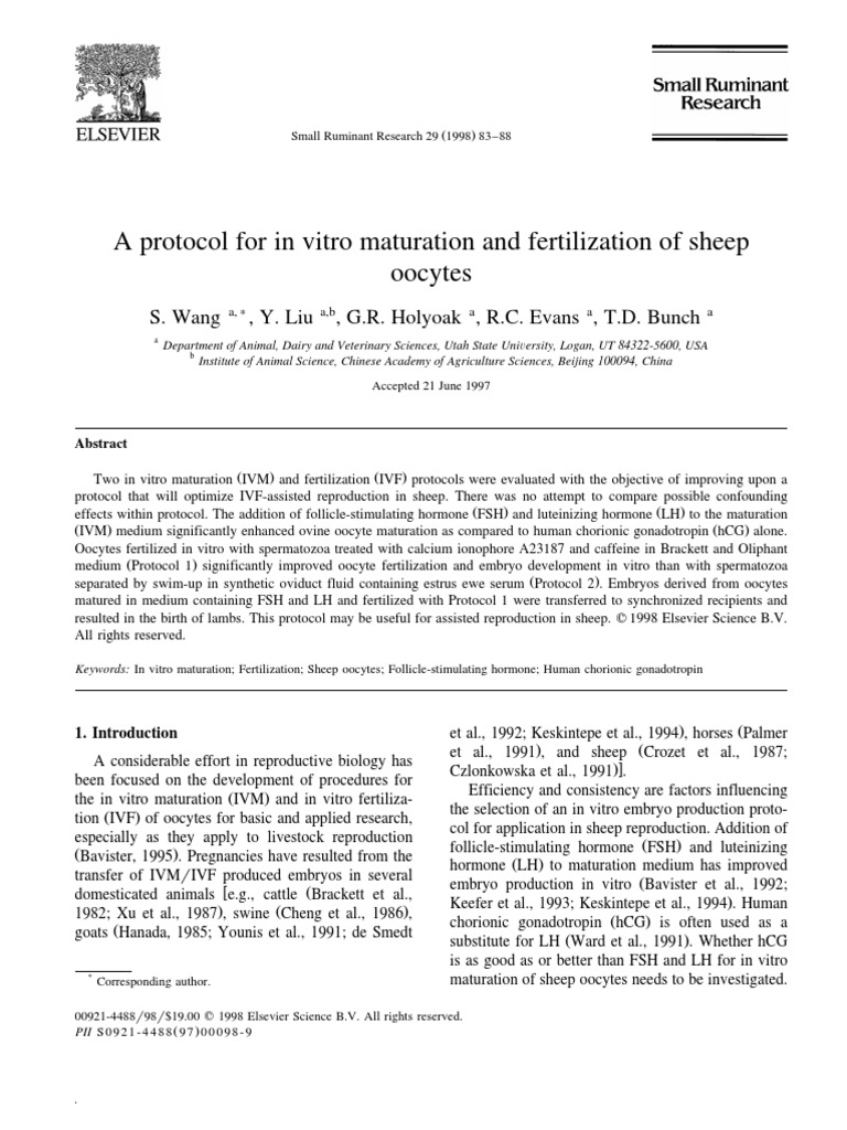 A Protocol For in Vitro Maturation and Fertilization of Sheep | PDF ...